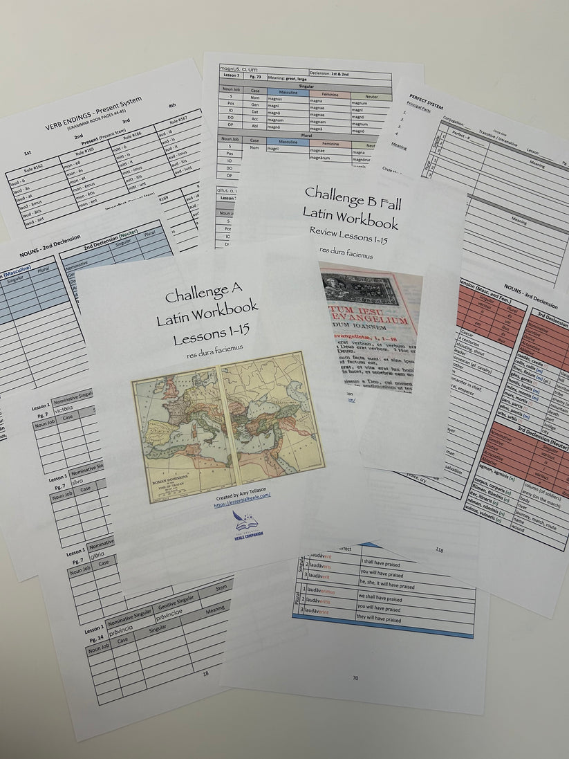 1. The Essential Companion to First Year Henle Latin - Challenge A + C ...